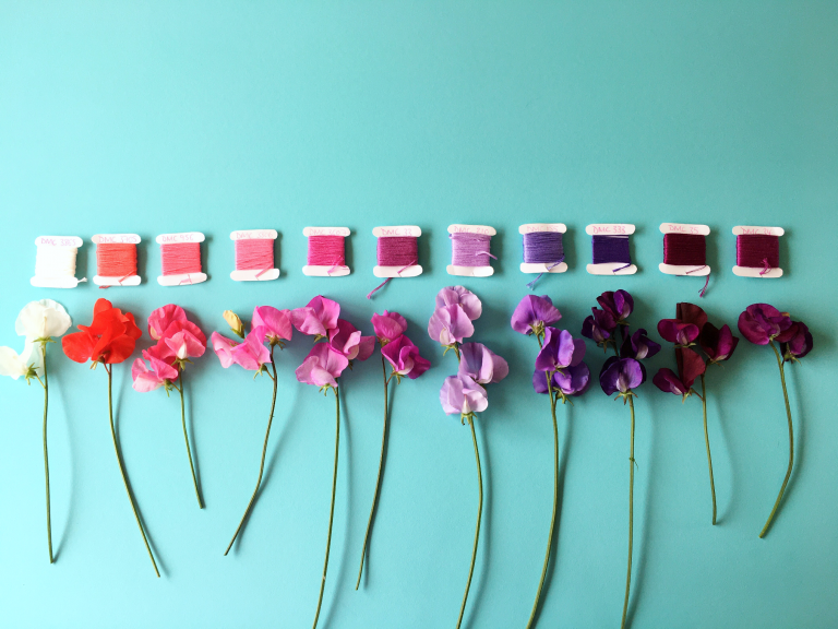 Crafty Colour Palette #5 - Hello! Hooray!